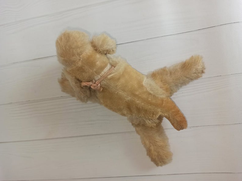 Vintage Steiff Floppy Snobby Poodle Sleeping Poodle Dog 1950 - Etsy