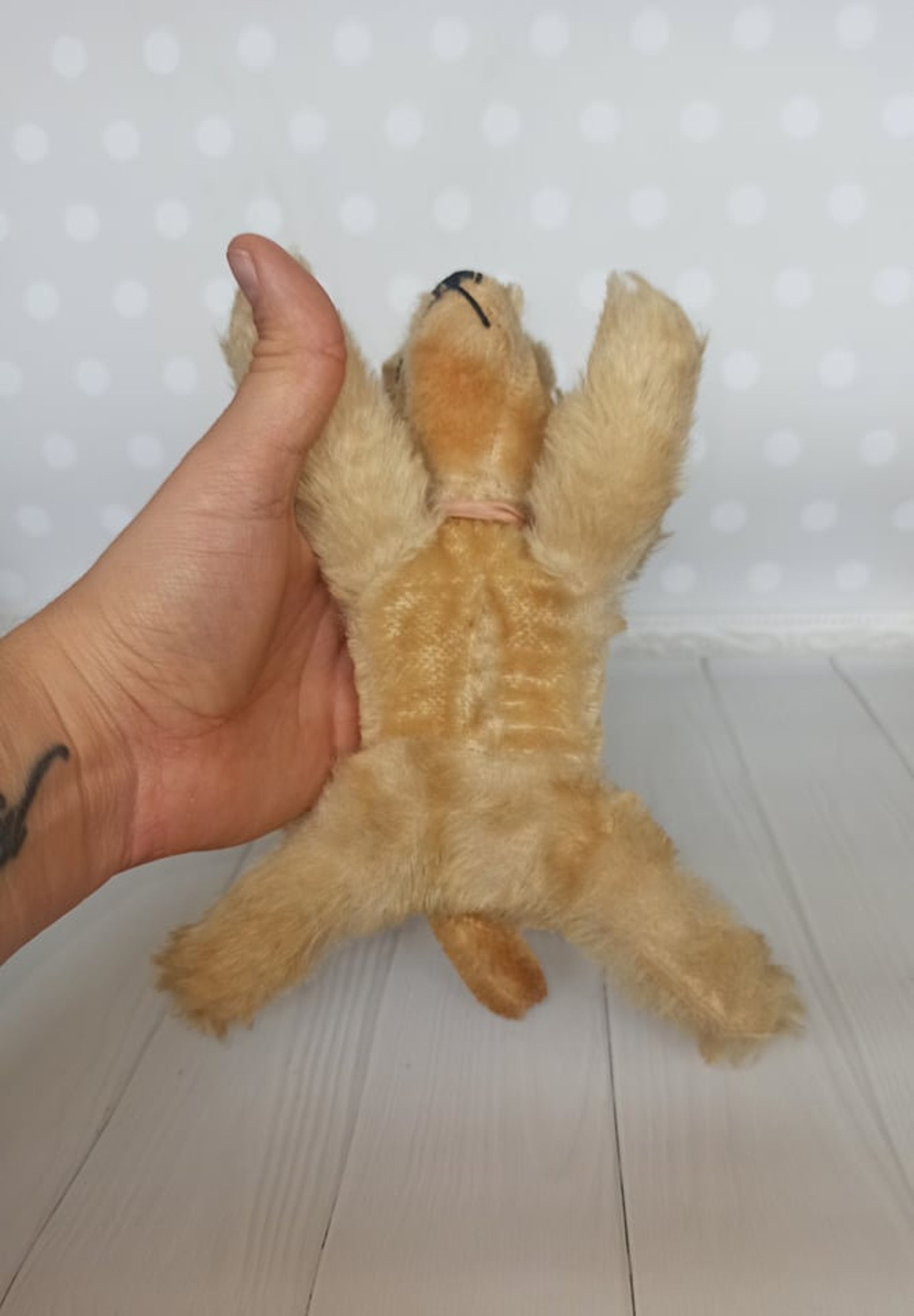 Vintage Steiff Floppy Snobby Poodle Sleeping Poodle Dog 1950 - Etsy