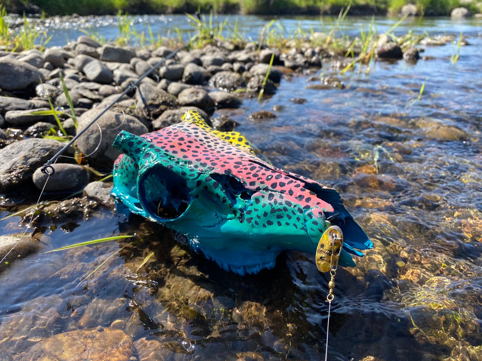 Rainbow Trout on Deer Skull - Etsy
