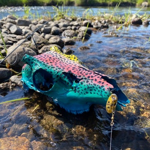 Rainbow Trout on Deer Skull - Etsy