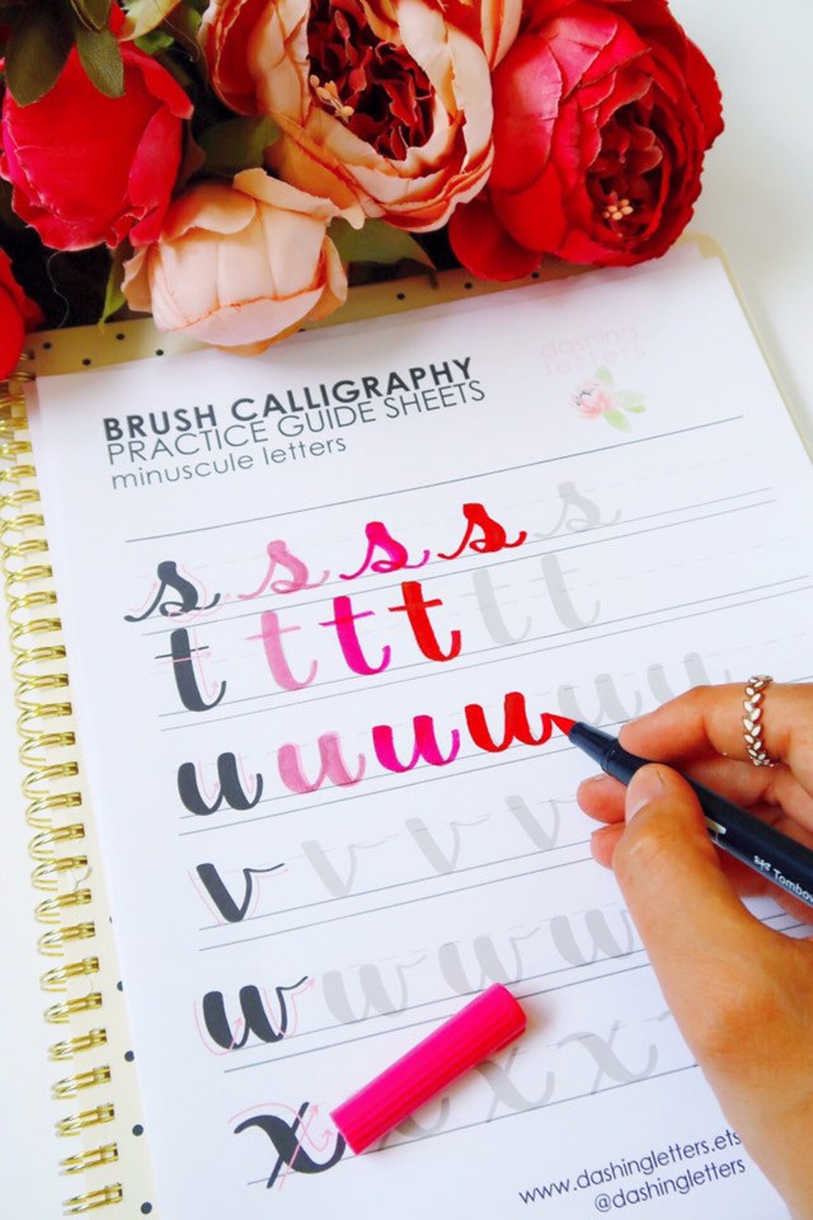 BUNDLE: Beginner's Brush Lettering Workbook | Etsy