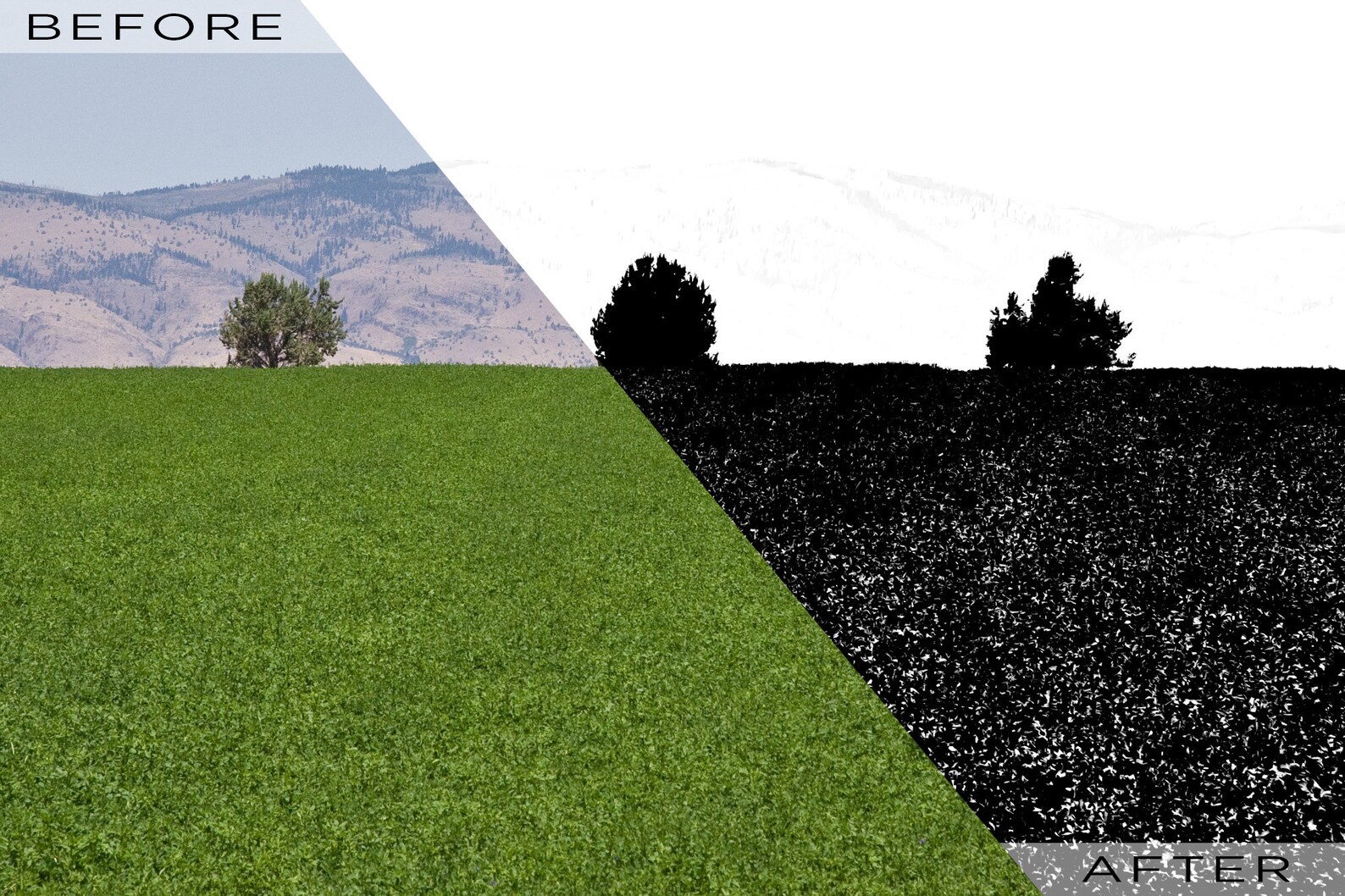 3d Luts Special Effects, Clip Art Luts, Artistic Luts, Style Luts, Look ...