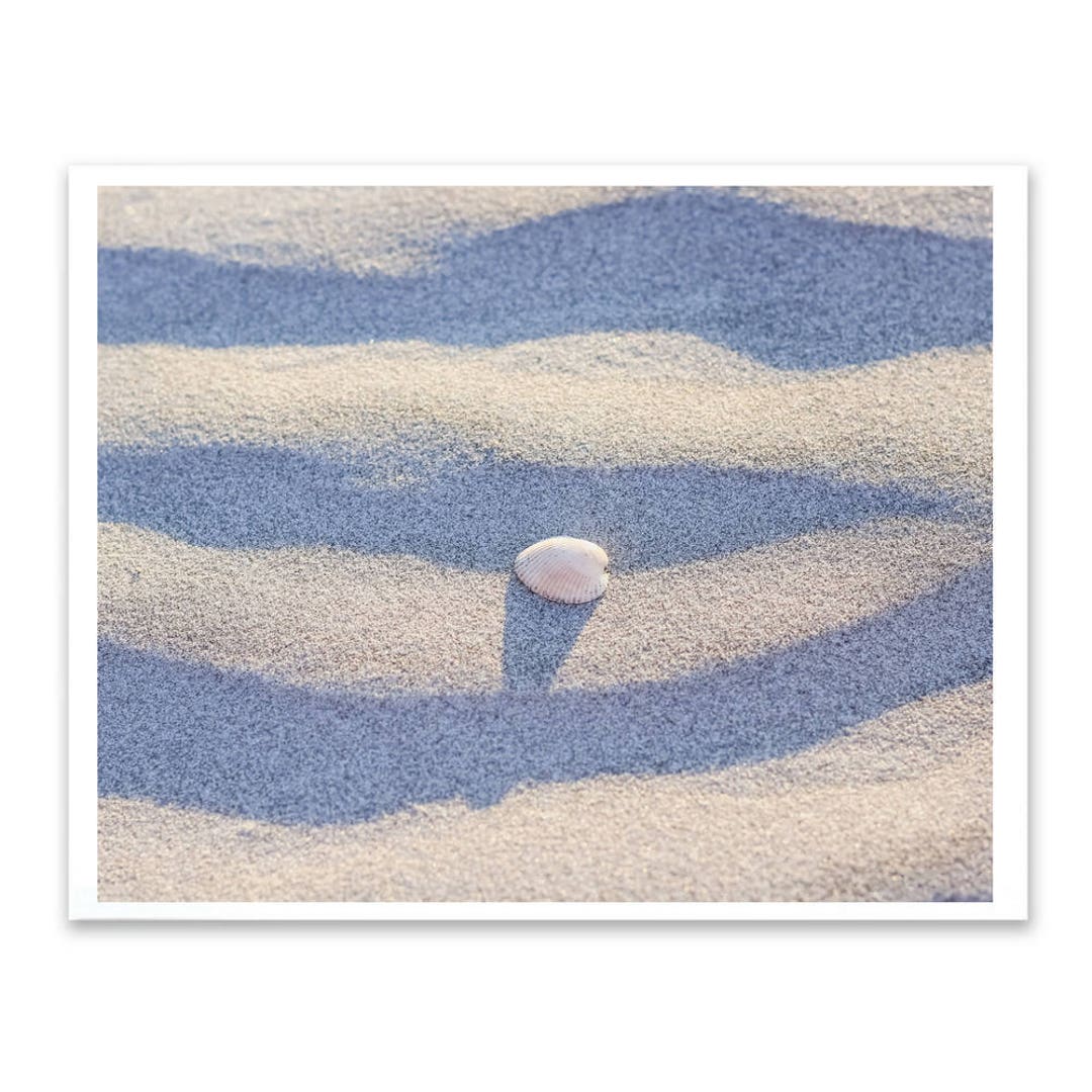 Beach Prints, Kiawah Island, Sea Shell Print, Beach Print, Beach House ...