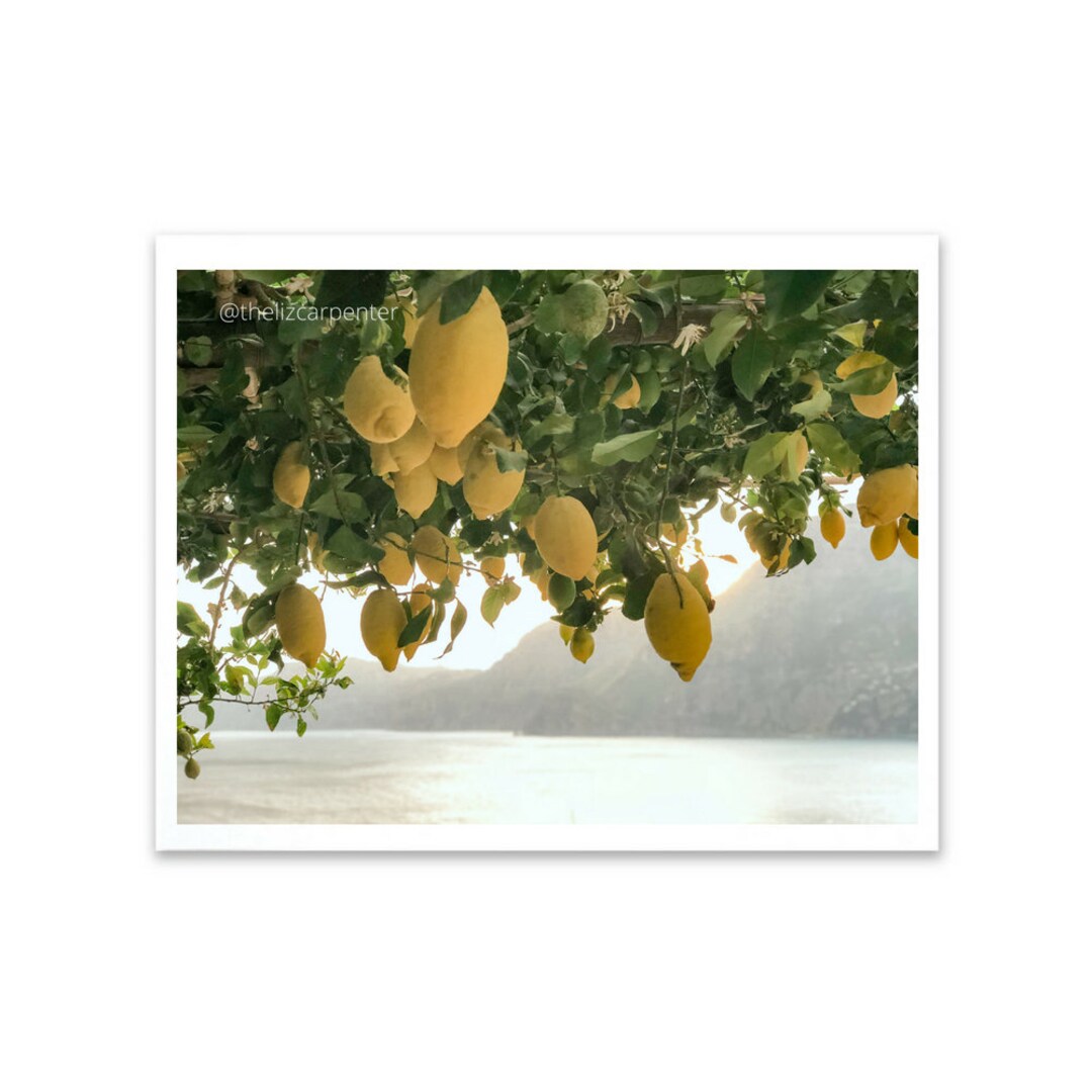 Lemon Print, Lemon Tree, Positano Print, Amalfi Coast Print, Lemon Art ...