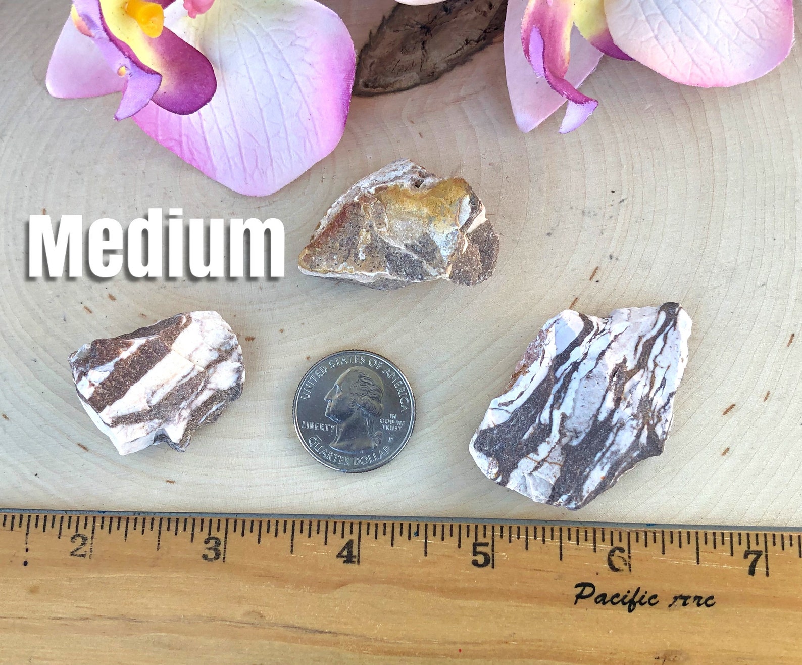 Zebra Jasper Rough Raw Chunk Stone Crystal Healing Yoga - Etsy