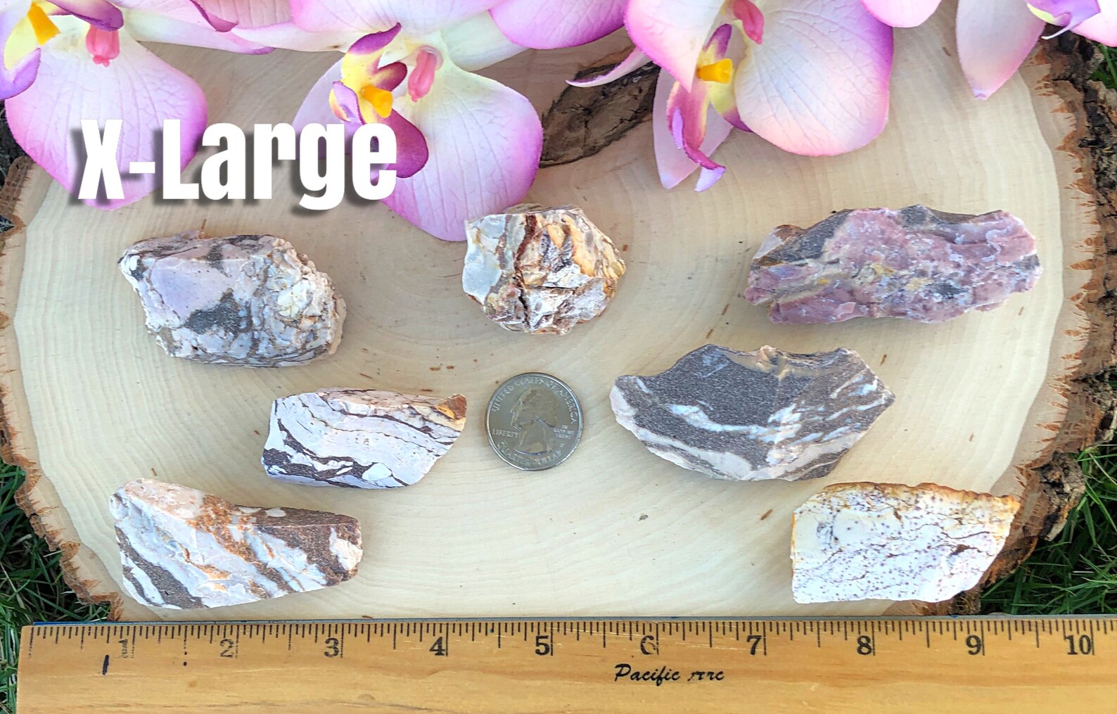 Zebra Jasper Rough Raw Chunk Stone Crystal Healing Yoga | Etsy