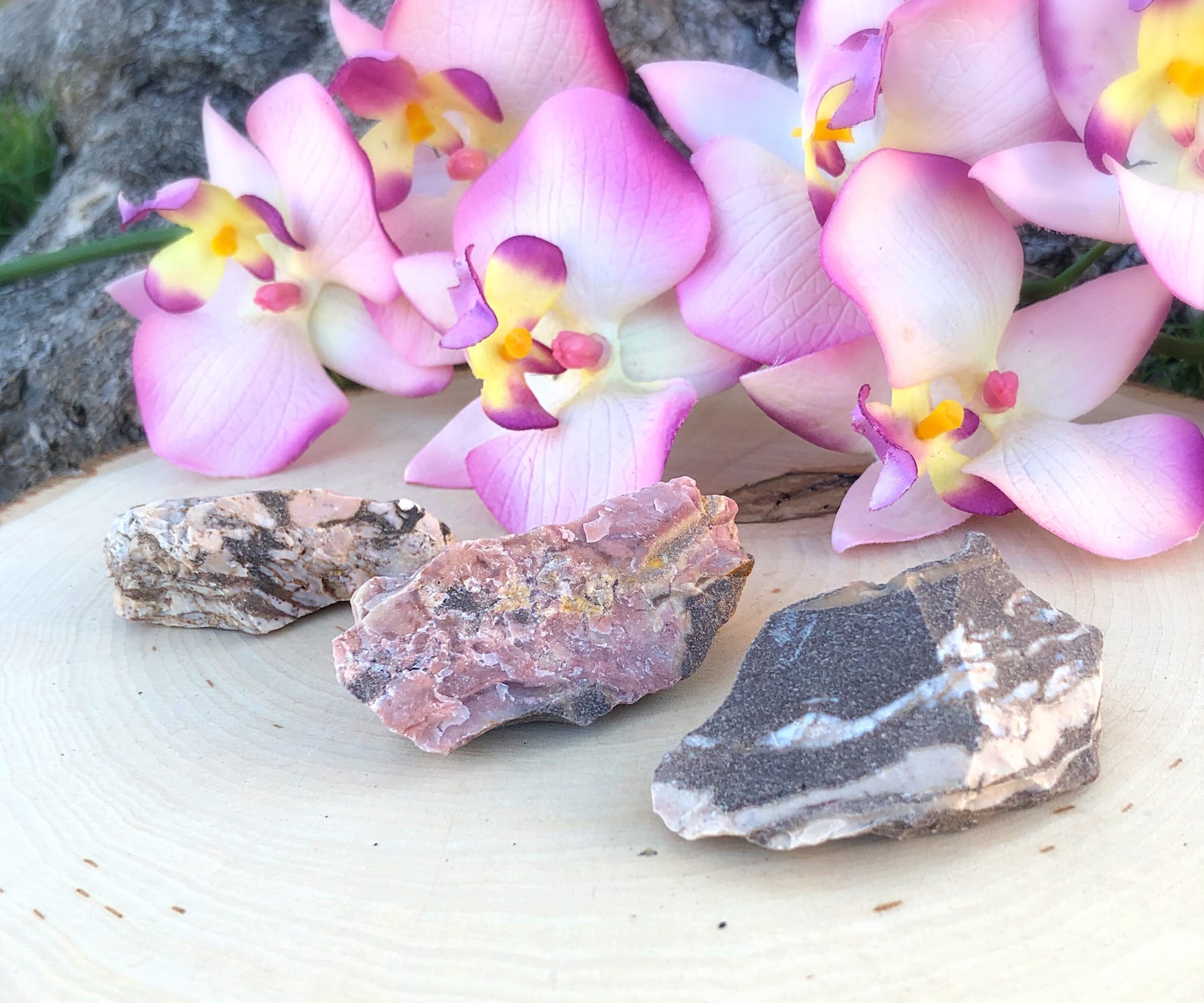 Zebra Jasper Rough Raw Chunk Stone Crystal Healing Yoga - Etsy