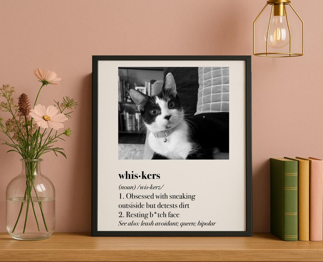 Custom Pet Definition Poster, Cat Definition Sign, Digital Pet Portrait ...