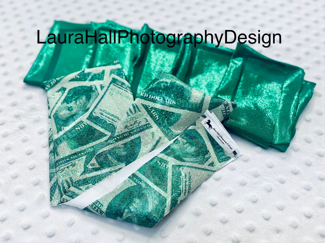 Money TAIL MANE BAG Set, Horses Tail Mane Bag Set, Mane Bag Set, Shiny ...