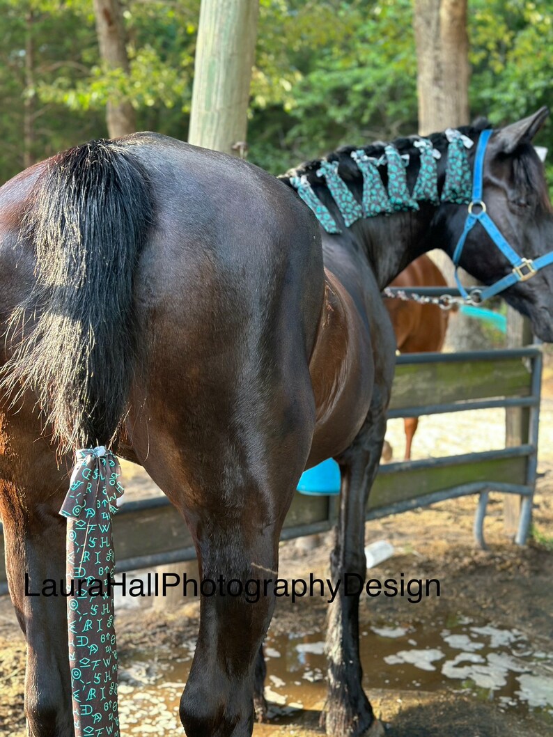 Western Brand Tail Mane Bag Set, Horses Tail Mane Bag Set, Mane Bag Set ...