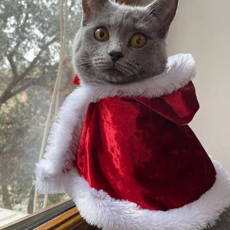 Cat Christmas Costumes - Etsy