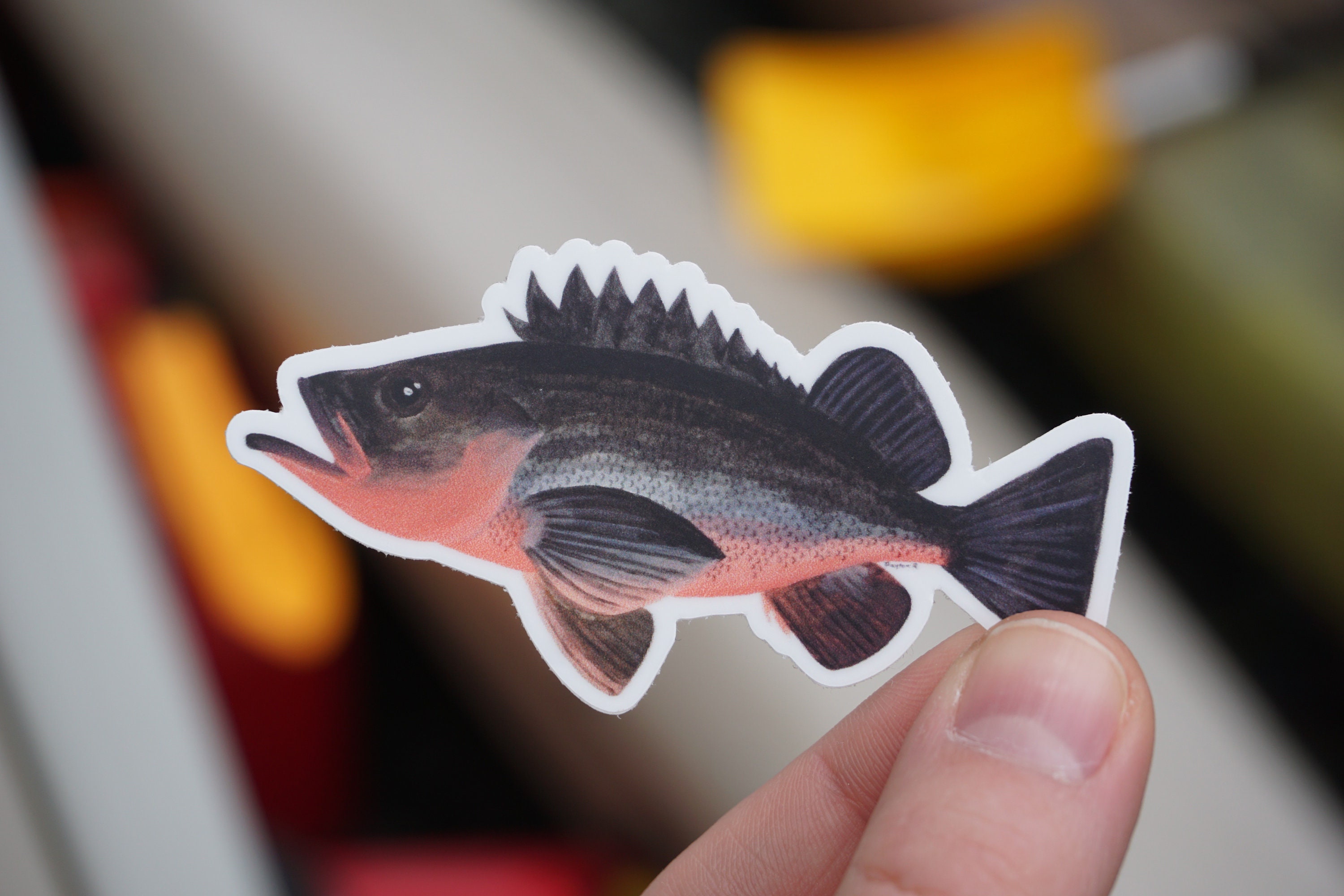 Silvergray Rockfish Sticker Alaska Fish Cute Marine Biology | Etsy