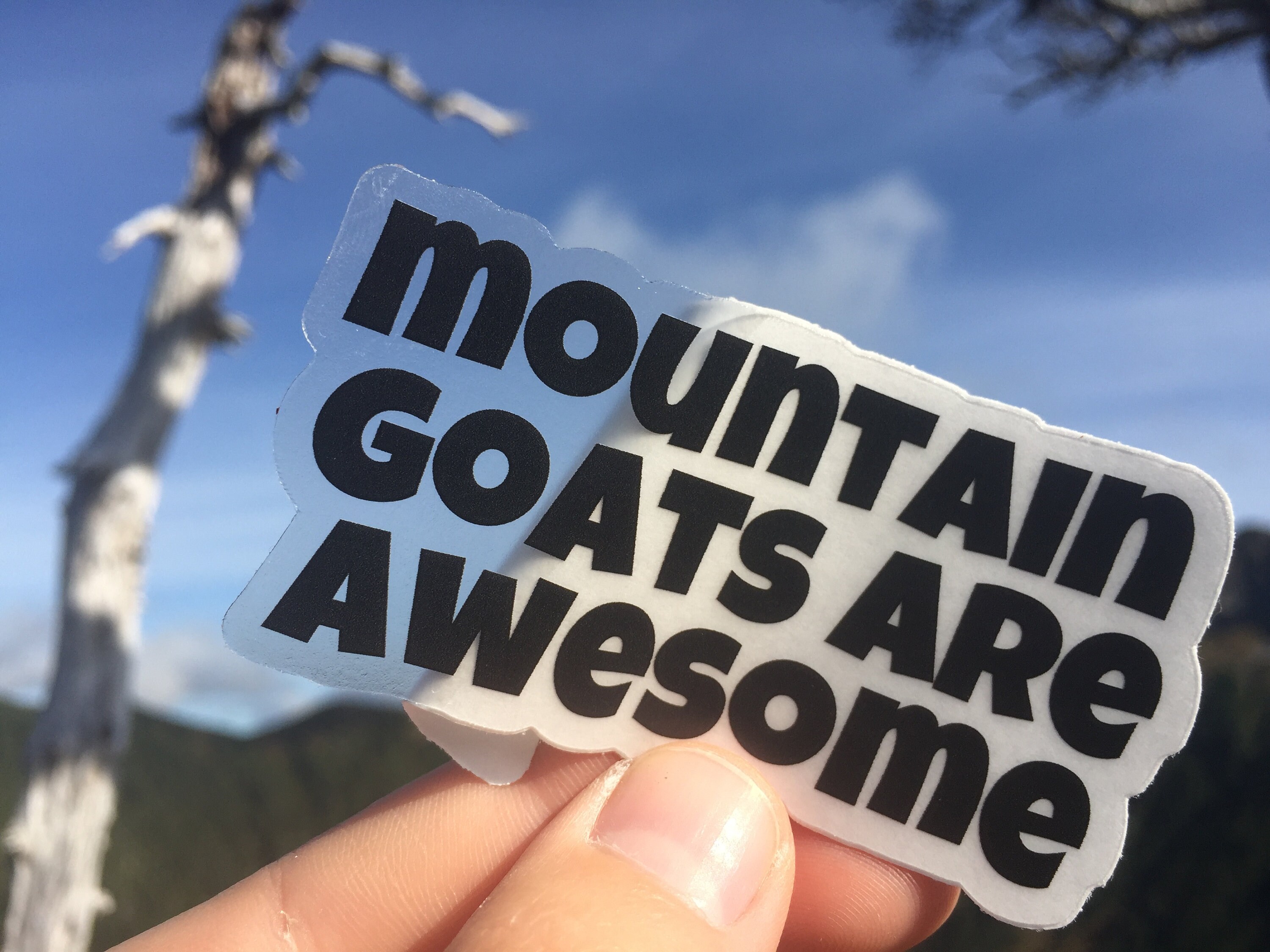 Goats Are Awesome