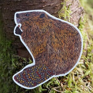 American Beaver Sticker Alaska Furbearer Rodent Trapping Alaskan Payton ...