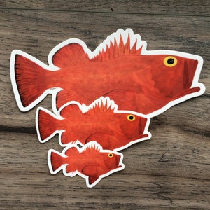 Yelloweye Rockfish Sticker Red Snapper Alaska Fish Cute Marine | Etsy