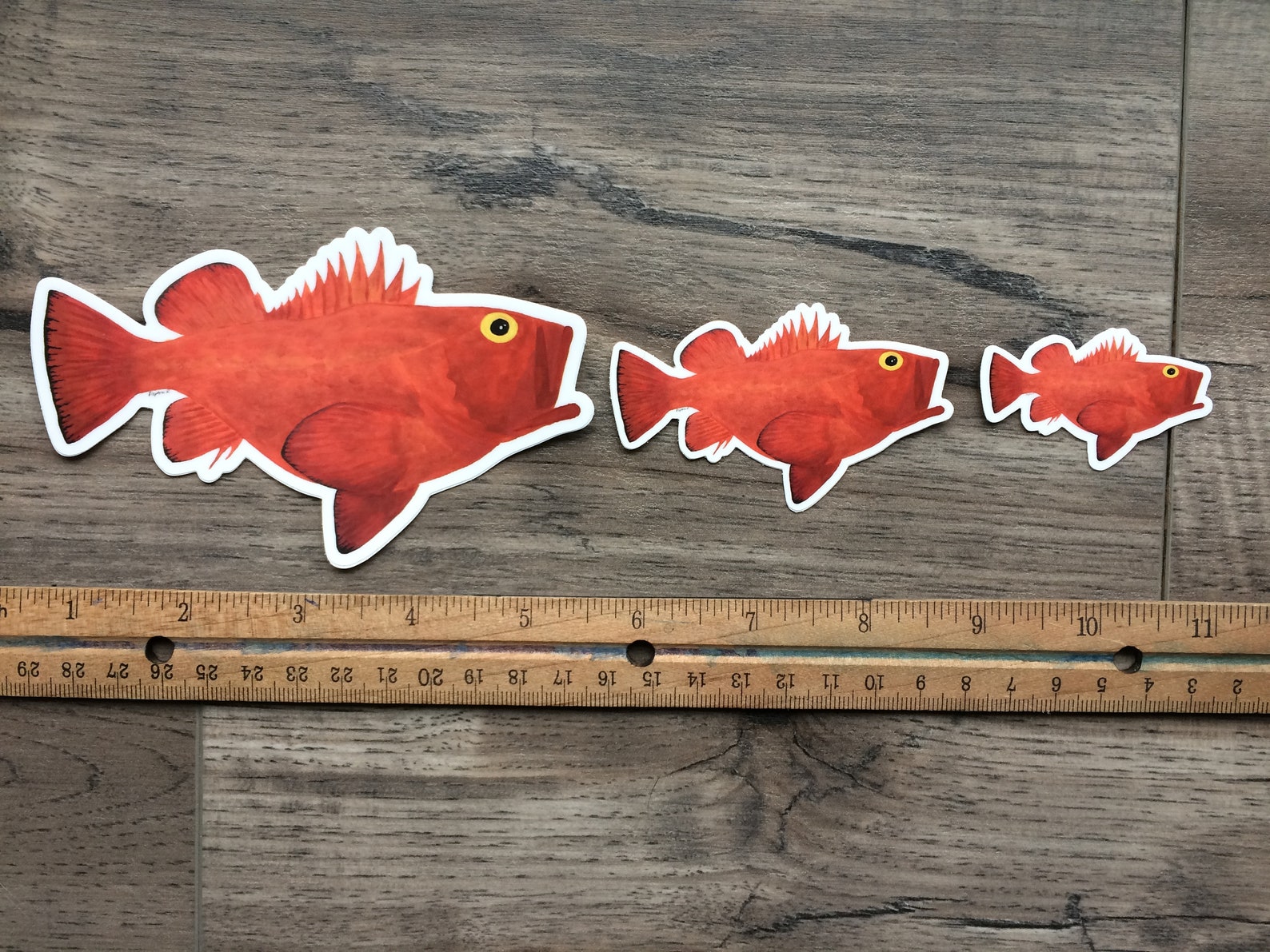 Yelloweye Rockfish Sticker Red Snapper Alaska Fish Cute Marine | Etsy