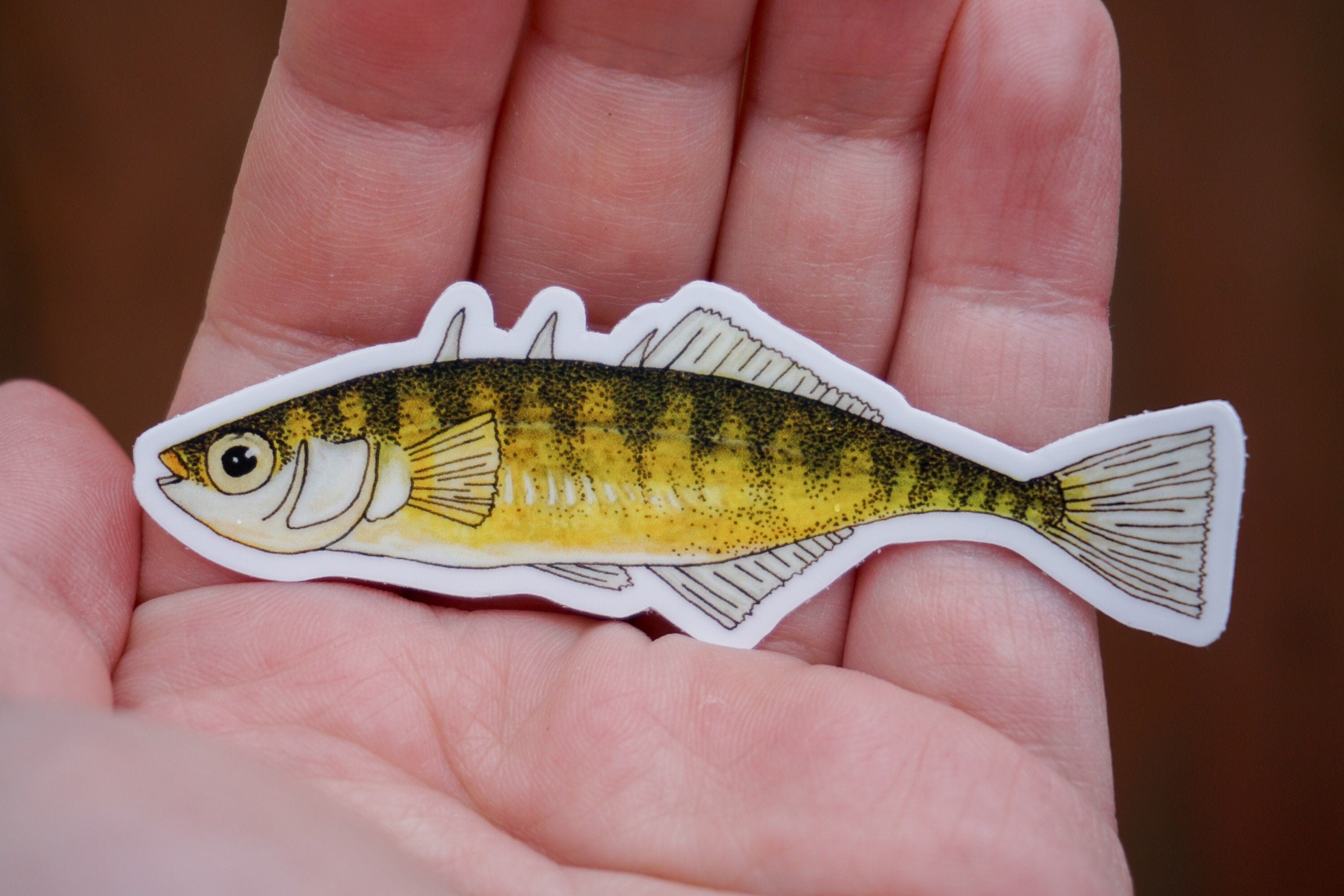 Threespine Stickleback Sticker Fish Alaska Freshwater Fishing - Etsy