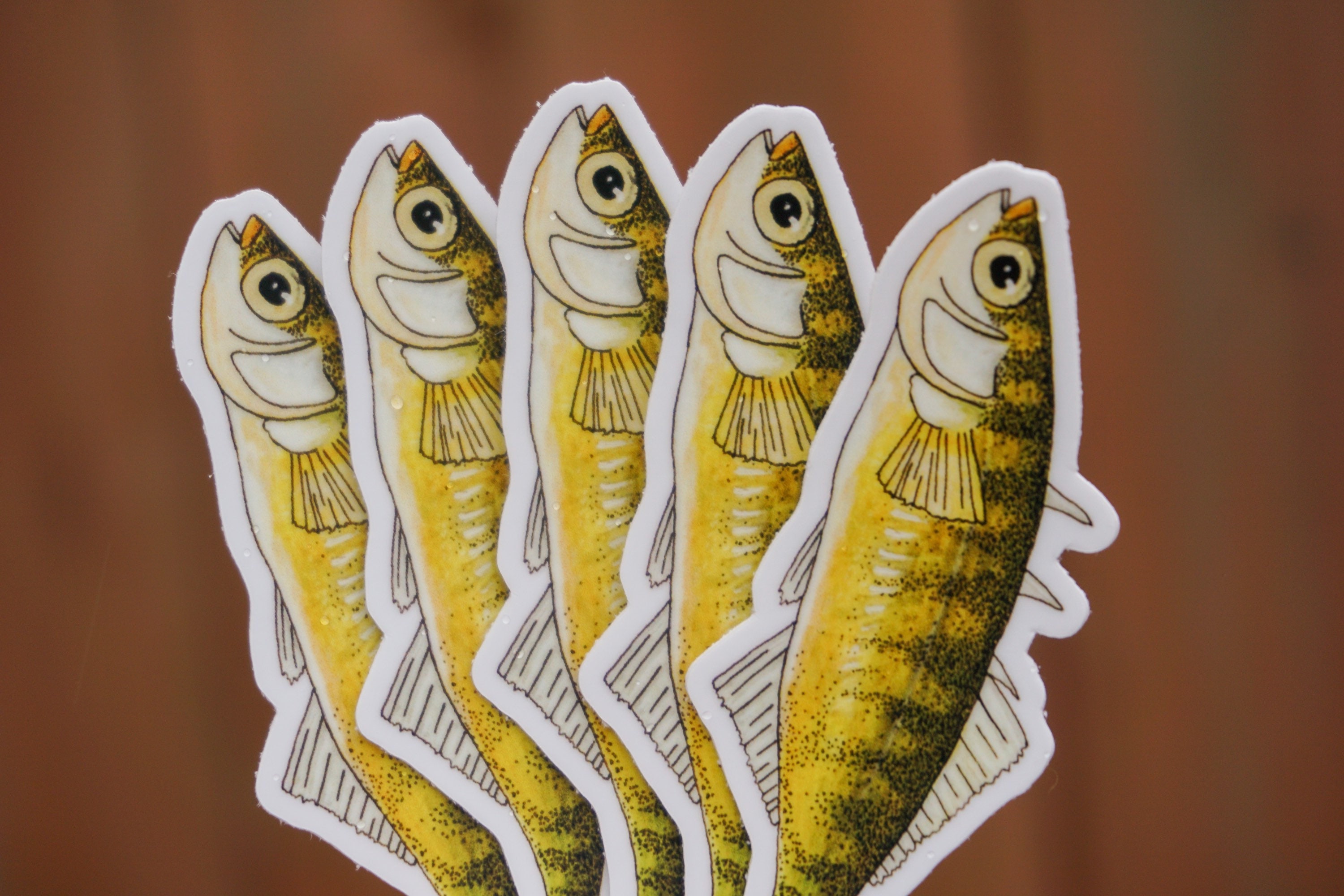 Threespine Stickleback Sticker Fish Alaska Freshwater Fishing - Etsy