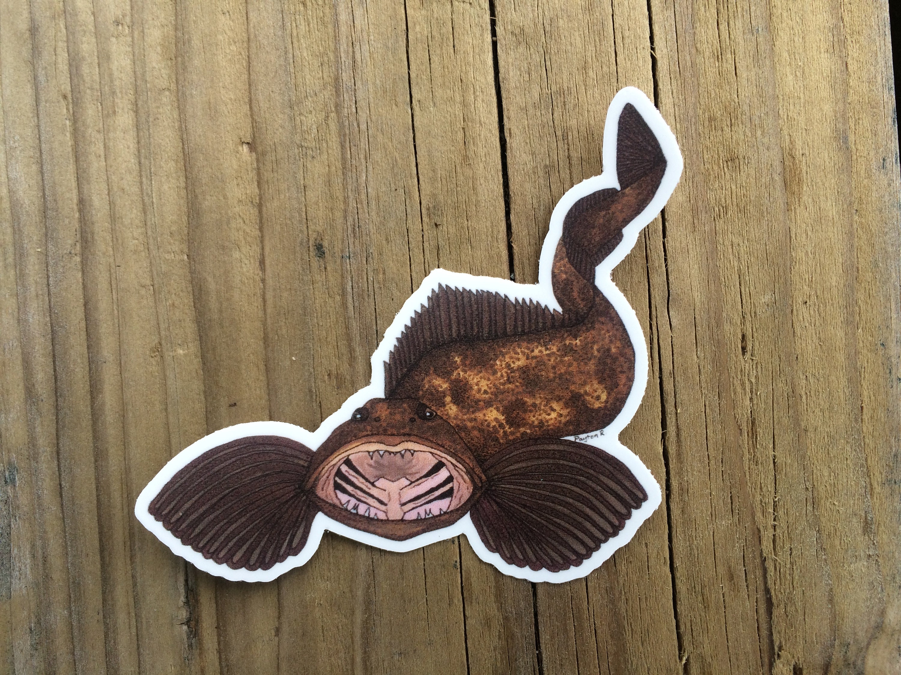 Lingcod Fish Sticker Alaska Cute Marine Biology Science Oh My - Etsy