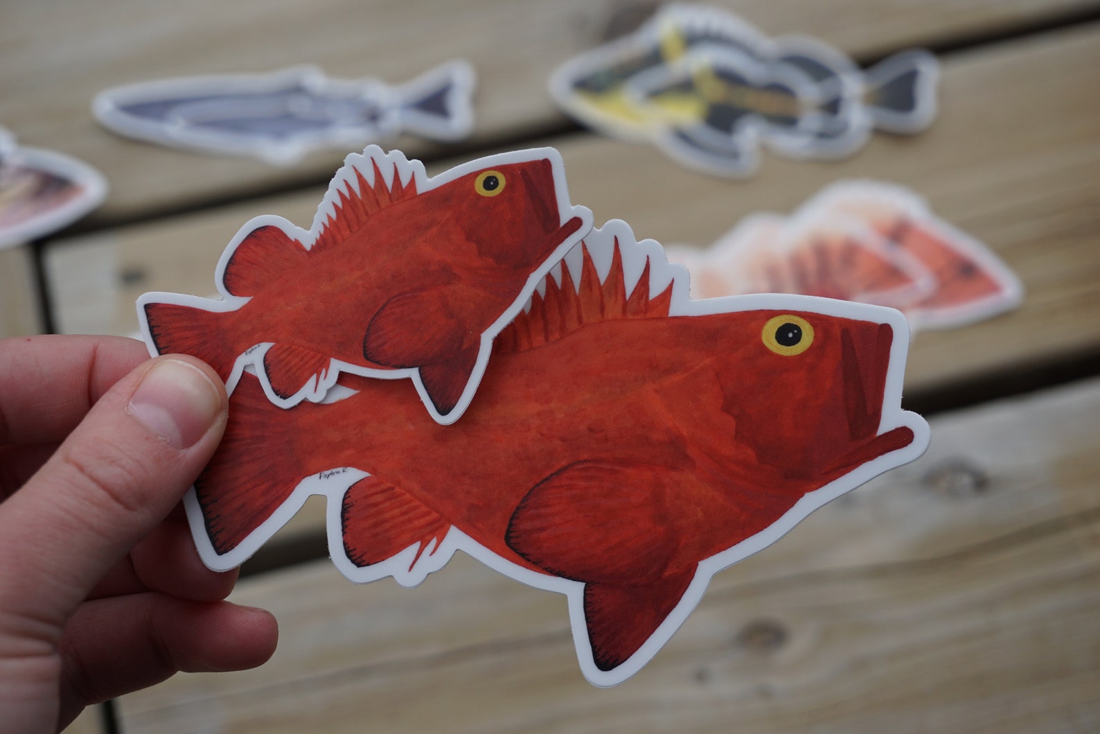 Yelloweye Rockfish Sticker Red Snapper Alaska Fish Cute Marine | Etsy