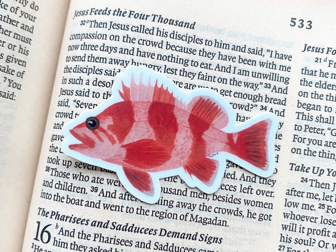Redbanded Rockfish Sticker Alaska Fish Cute Marine Biology Science ...