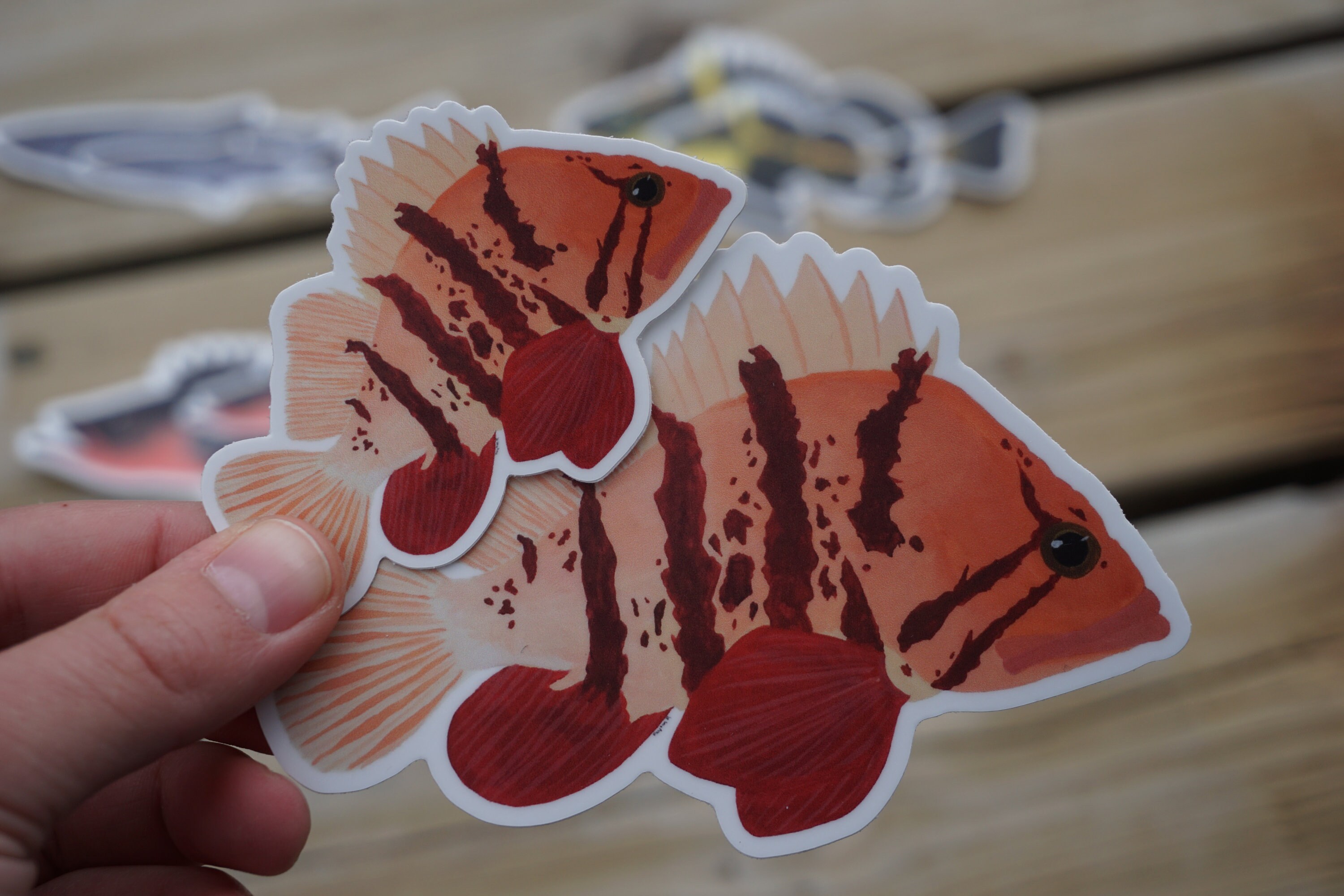 Tiger Rockfish Sticker Alaska Fish Cute Marine Biology Science | Etsy