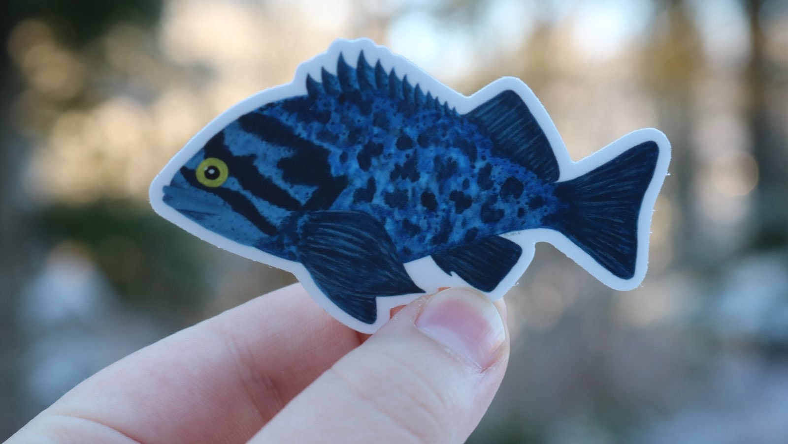 Deacon Rockfish Sticker Blue Alaska Fish Cute Marine Biology | Etsy