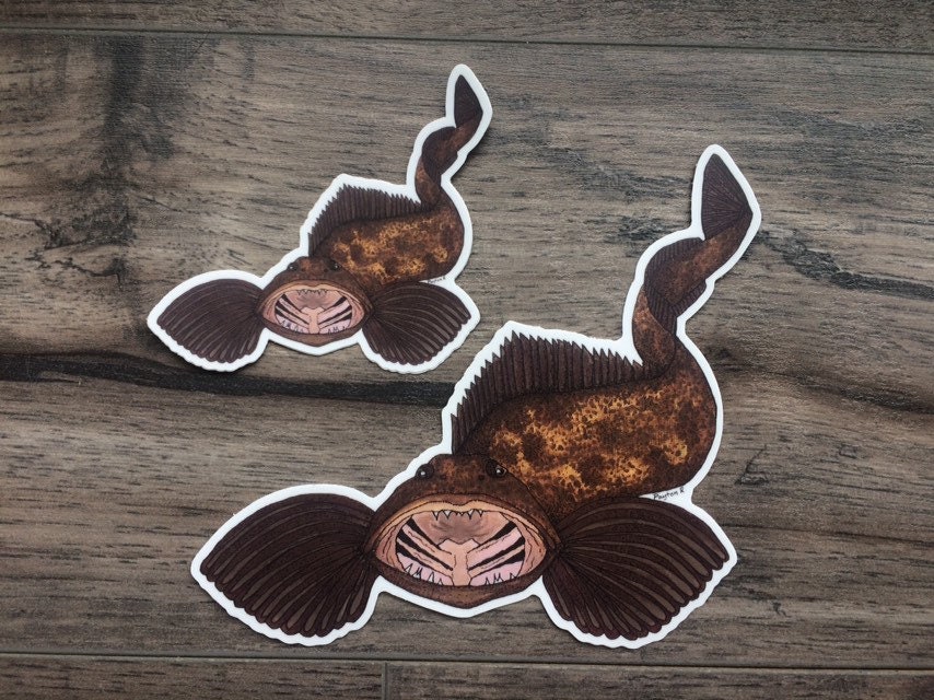 Lingcod Fish Sticker Alaska Cute Marine Biology Science Oh My - Etsy