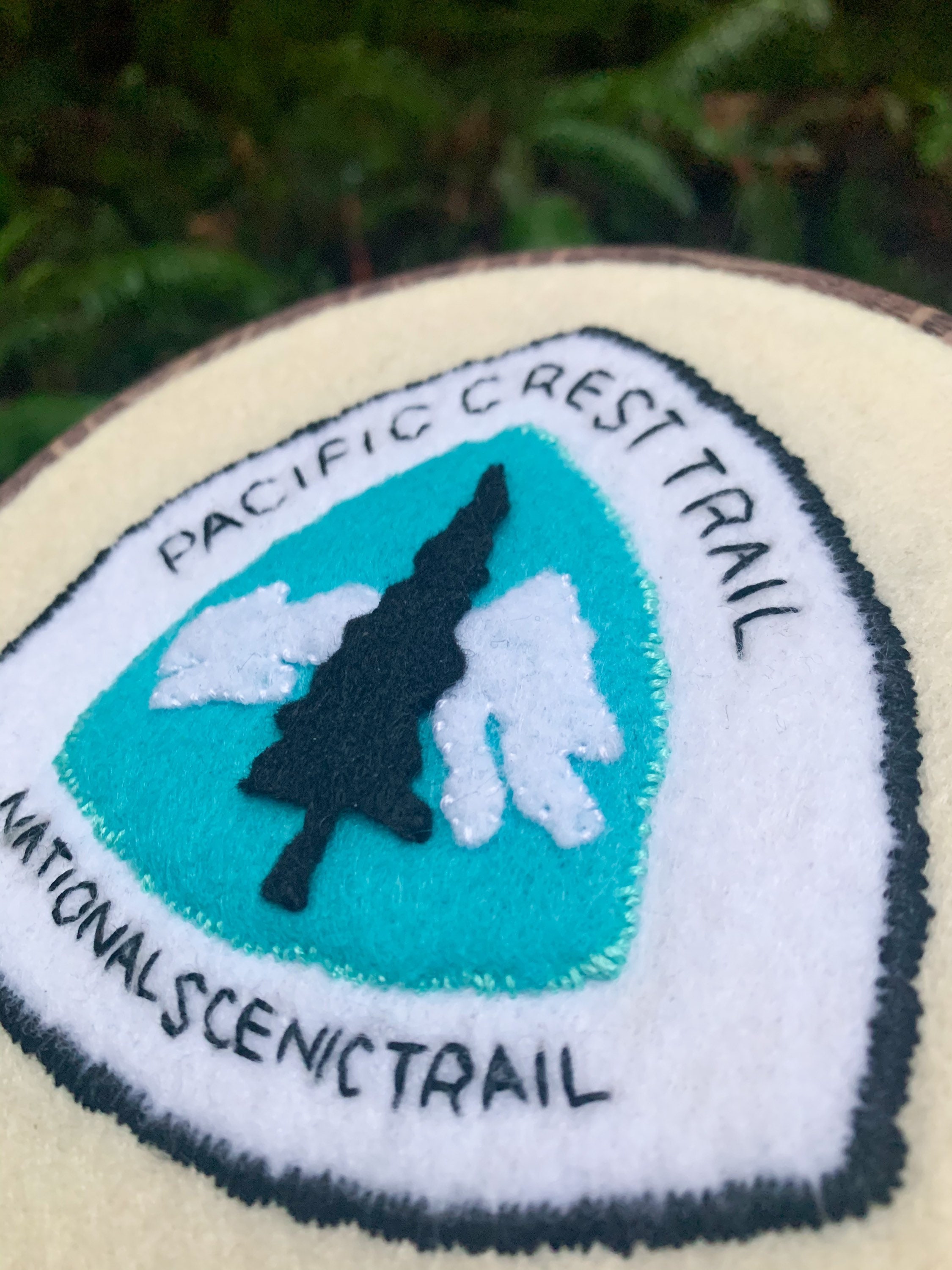 Pacific Crest Trail (PCT) Logo Embroidery - Etsy