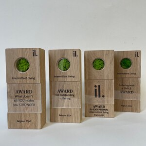 Custom Wooden Award - Personalized Award With Engraving, Award for Hard ...