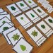 Montessori Learning Cards With Tree Names, Pre School Printable Flash ...