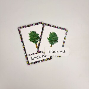 Montessori Learning Cards With Tree Names, Pre School Printable Flash ...