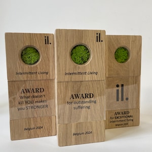 Custom Wooden Award - Personalized Award With Engraving, Award for Hard ...