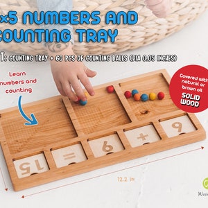 Numbers, Counting, Sorting Tray - Natural Montessori Learning Toys ...