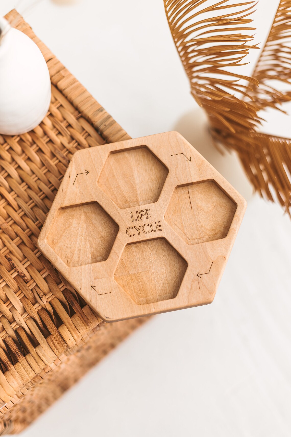 Learning Toys Life Cycle Board hexagon Handmade From | Etsy