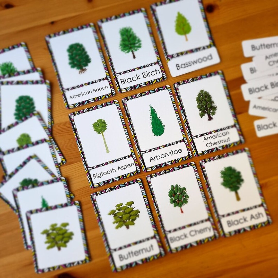 Montessori Learning Cards With Tree Names, Pre School Printable Flash ...