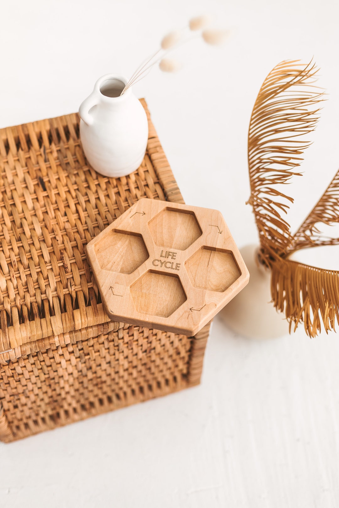 Waldorf Life Cycle Board Montessori Life Cycle Board - Etsy