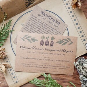 Adopt Your Own Mandrake // Mandrake Charms, Talisman, Creature ...
