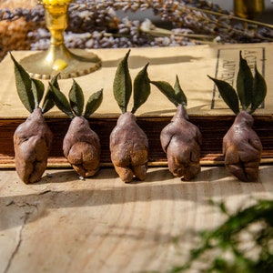 Adopt Your Own Mandrake // Mandrake Charms, Talisman, Creature ...
