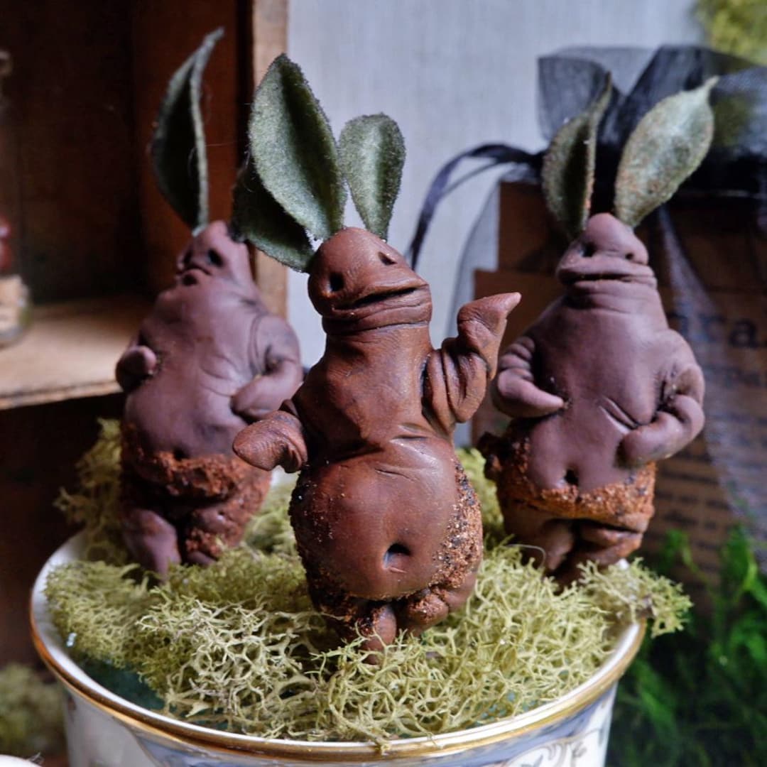 Adopt Your Own Mandrake // Mandrake Charms, Talisman, Creature ...