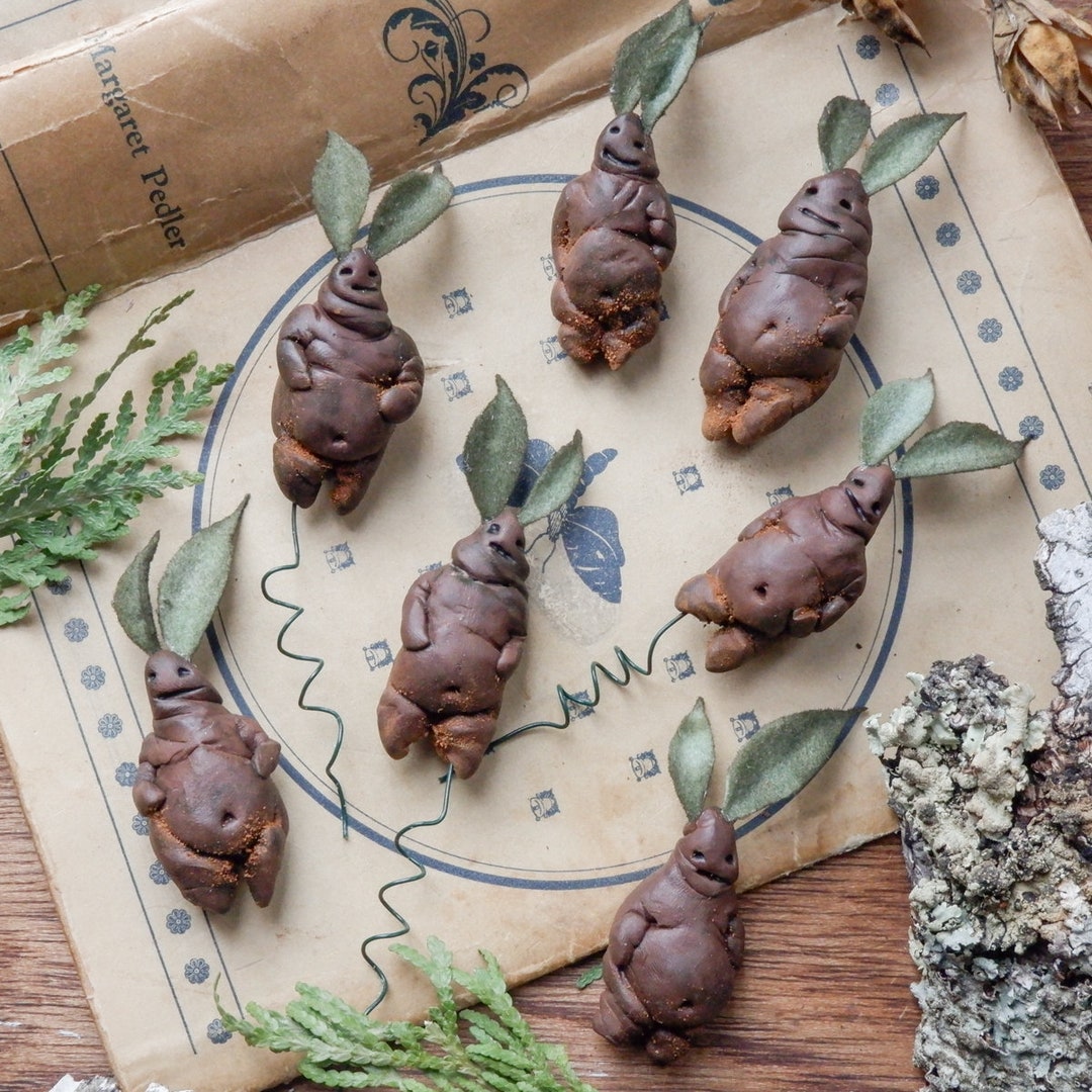 Adopt Your Own Mandrake // Mandrake Charms, Talisman, Creature ...