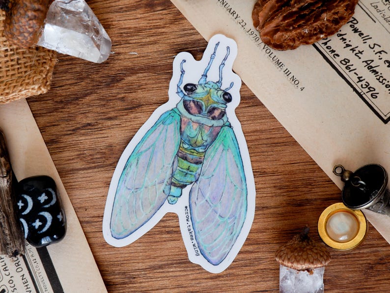 Watercolor Cicada Sticker: Frosted Vinyl Insect Decal - Etsy