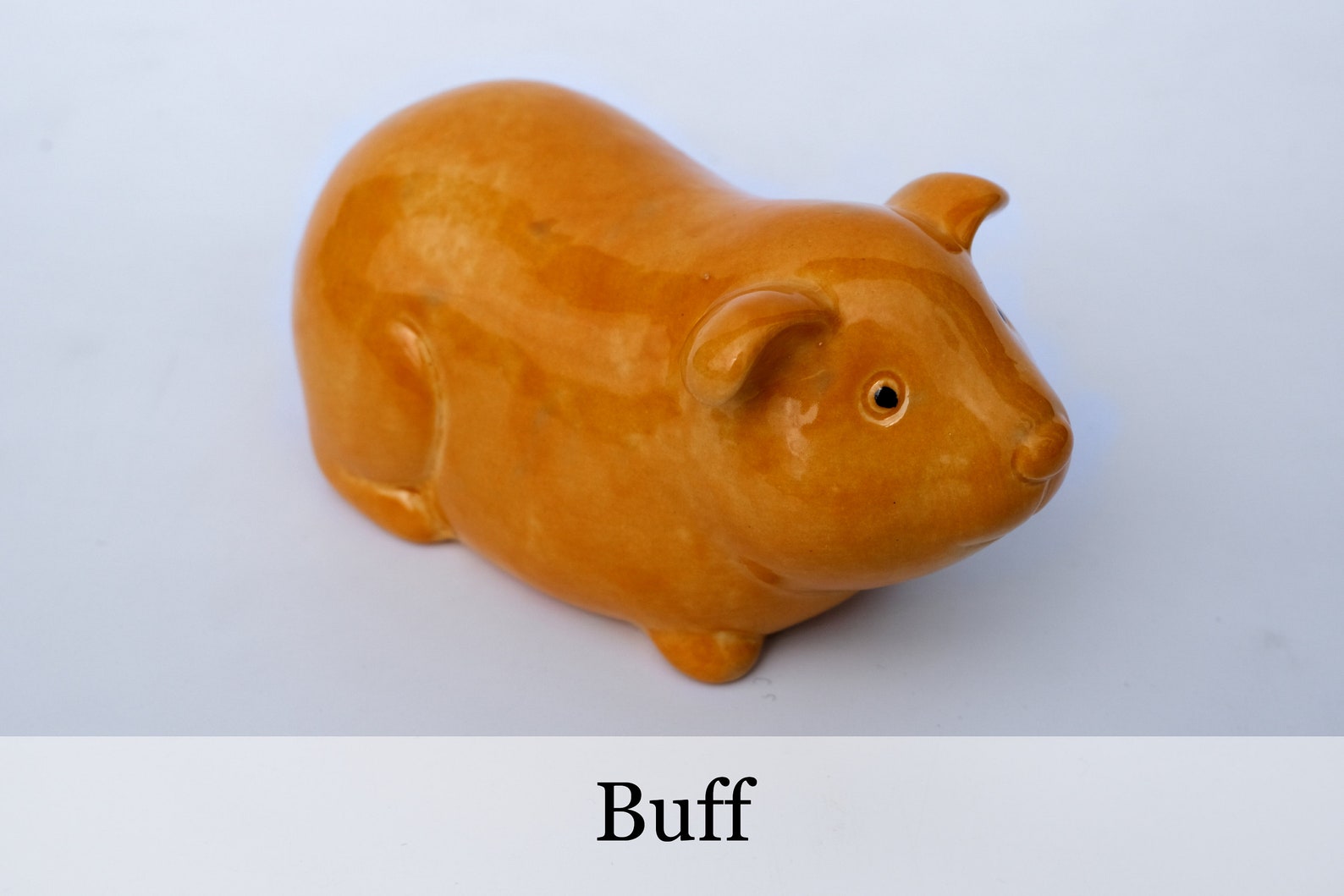 Guinea Pig Urn Ashes Casket - Etsy UK