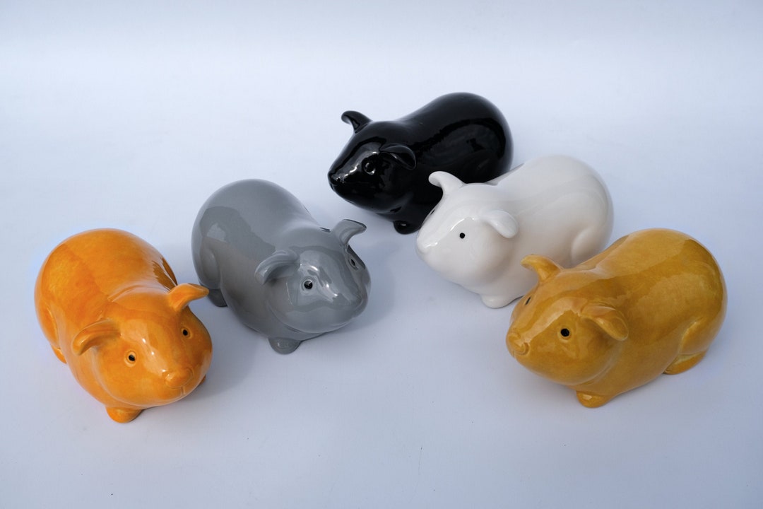 Guinea Pig Urn Ashes Casket - Etsy UK