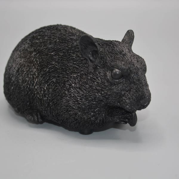 Hamster Casket - Etsy