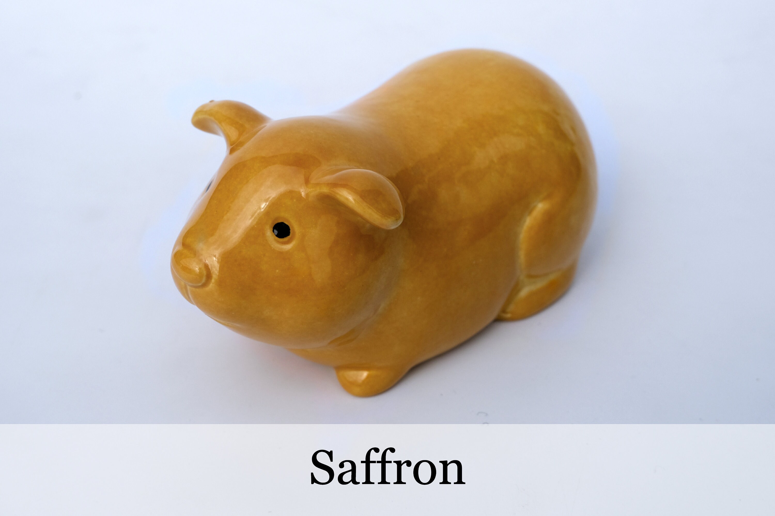 Guinea Pig Urn Ashes Casket - Etsy UK