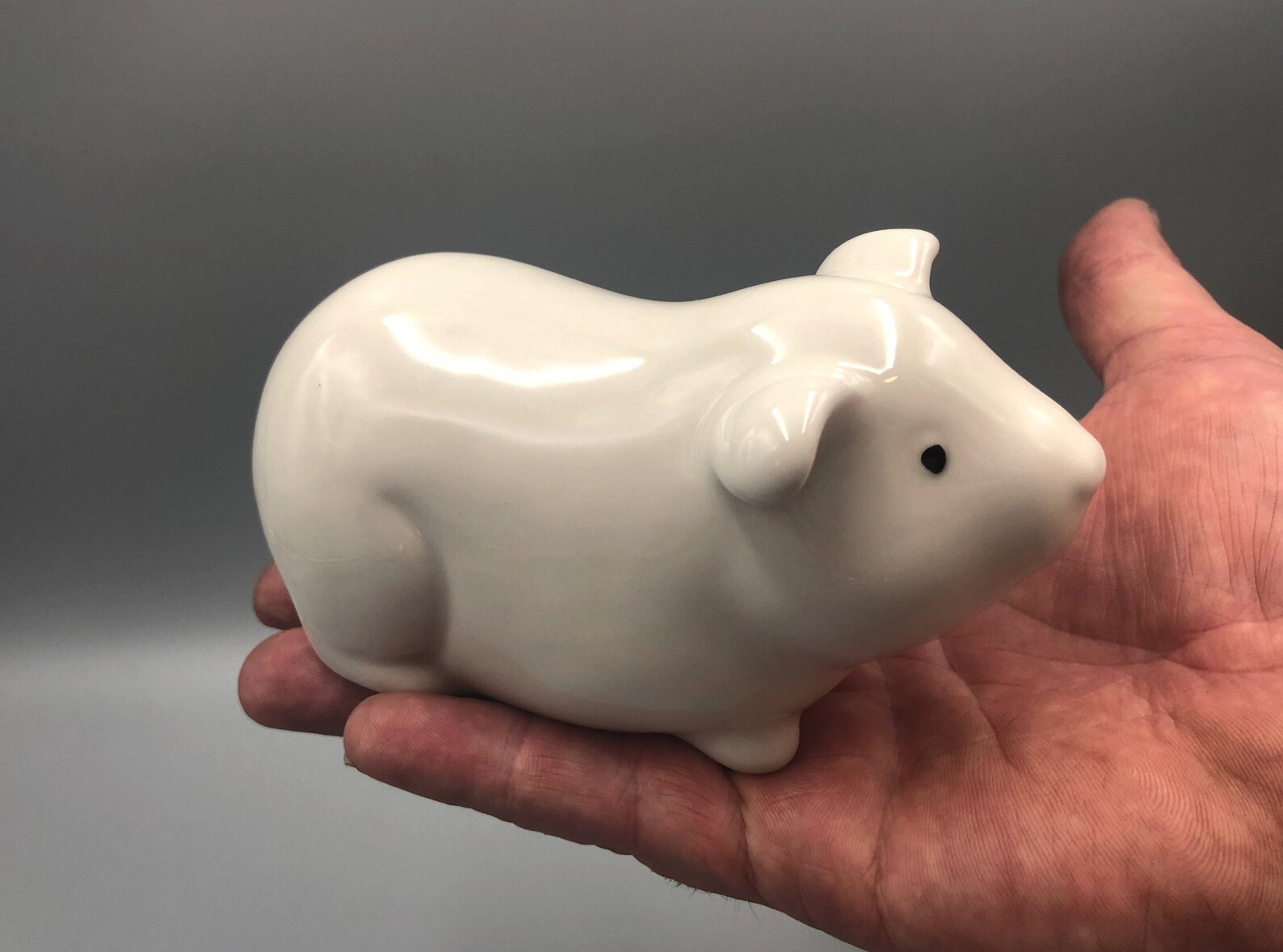 Guinea Pig Urn Ashes Casket - Etsy UK