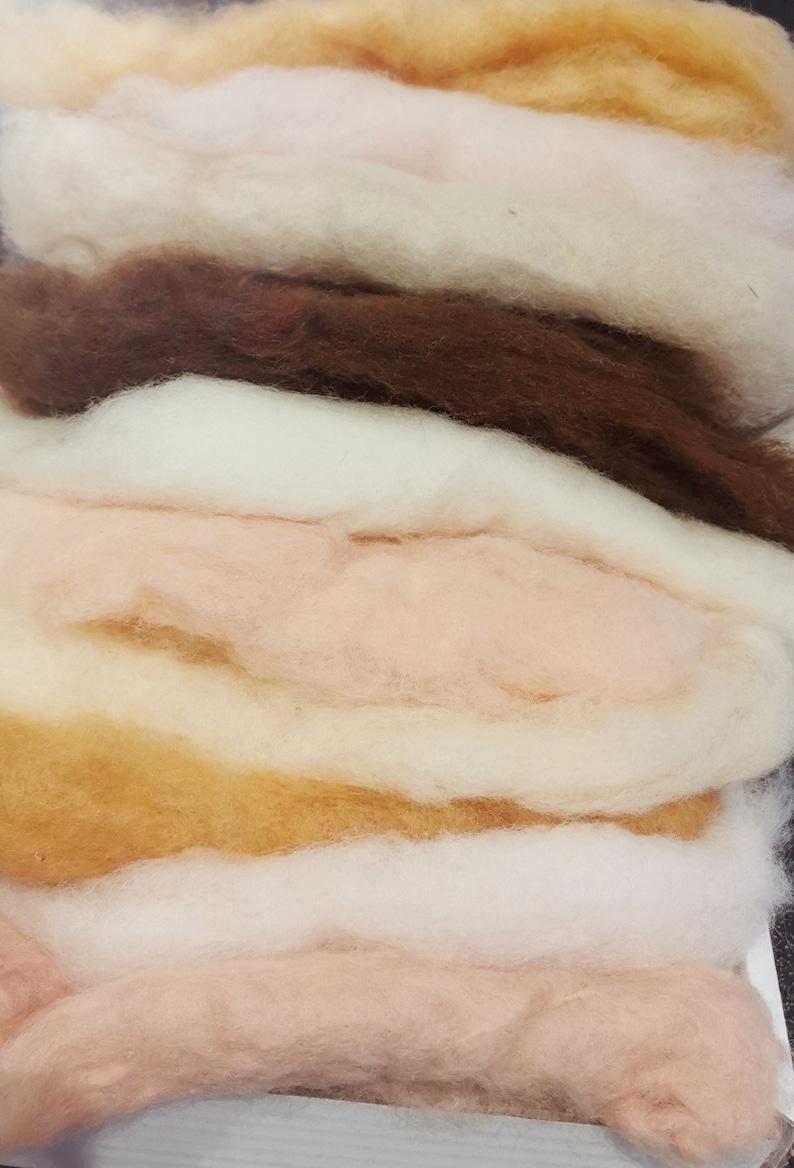Wool Roving Color Pack: 10 Colors Carded Felting Wool, 100 Gr - Etsy