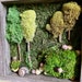 Moss Art Shadow Boxes Set of 3 - Etsy