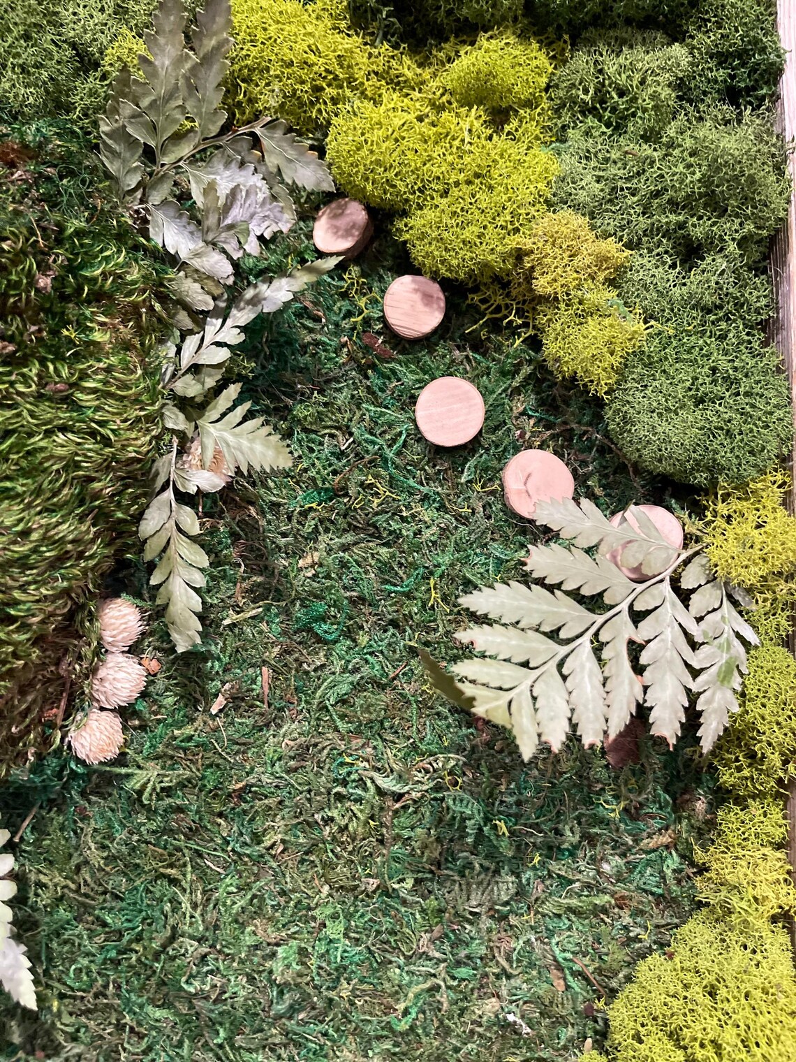 Moss Art Shadow Box - Etsy